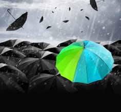 Black Hills Federal Credit Union | South Dakota Credit Union
